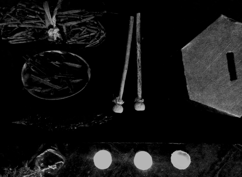 Holy Conch – Helga Fassonaki